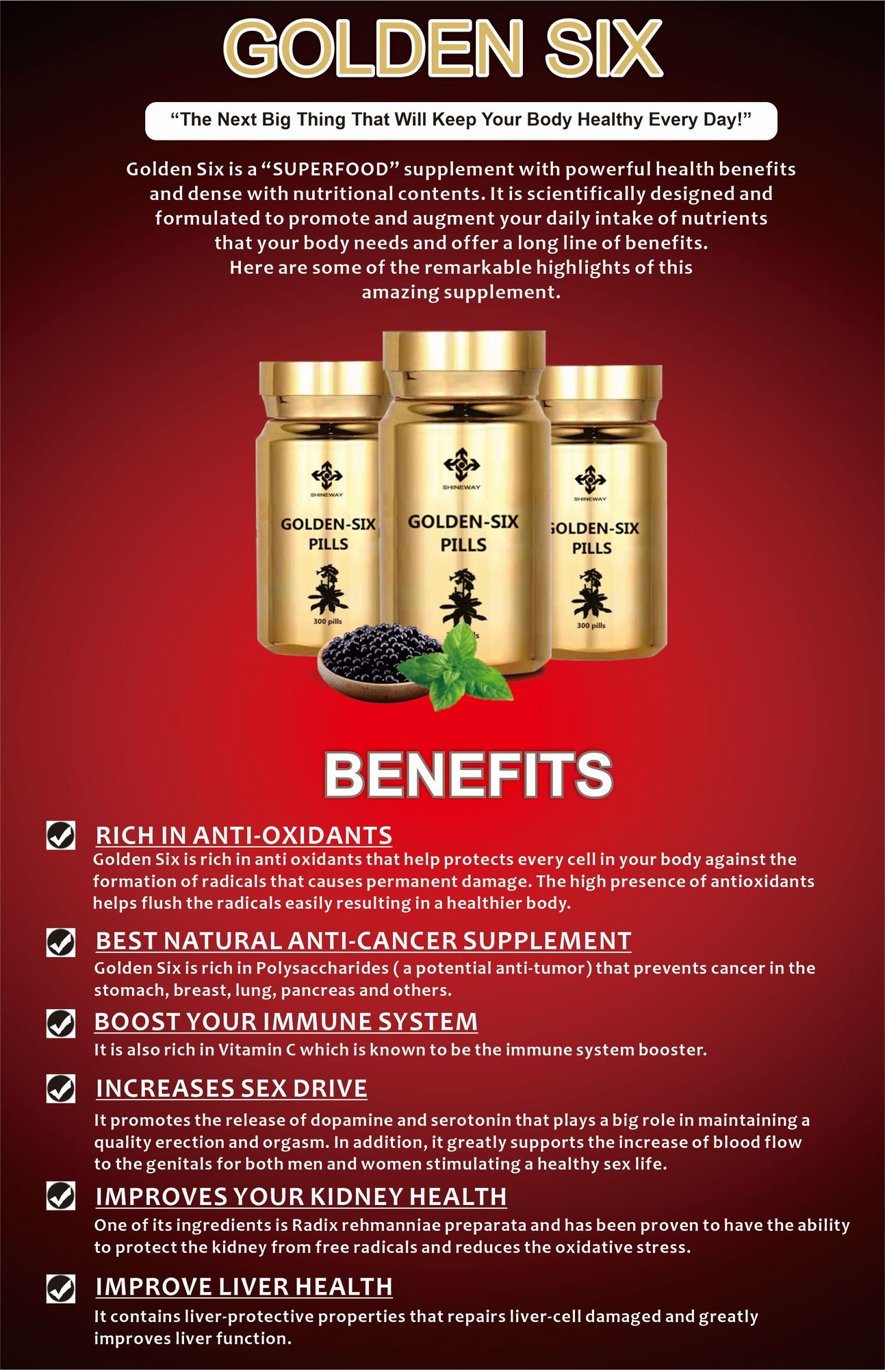 SHINEWAY HEALTHCARE - SHINEWAY HEALTHCARE