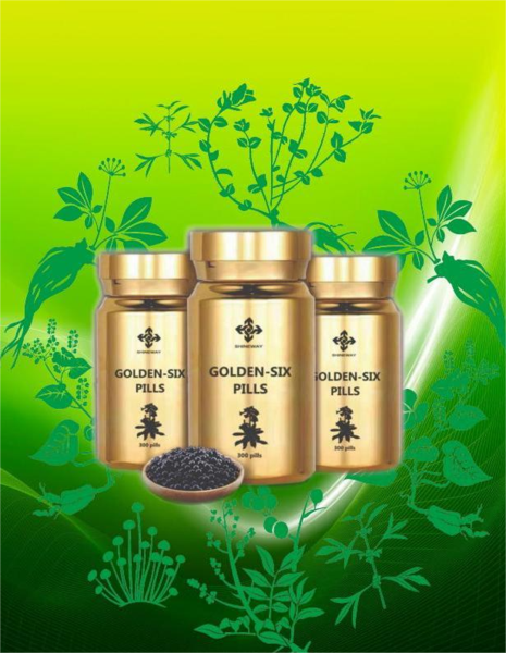 SHINEWAY HEALTHCARE - SHINEWAY HEALTHCARE