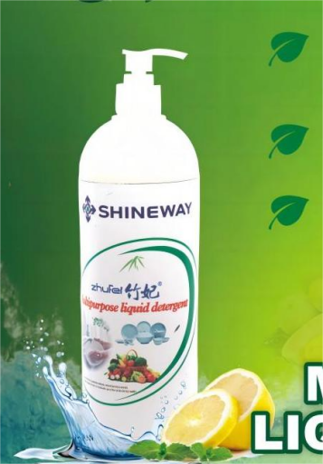 SHINEWAY HEALTHCARE - SHINEWAY HEALTHCARE